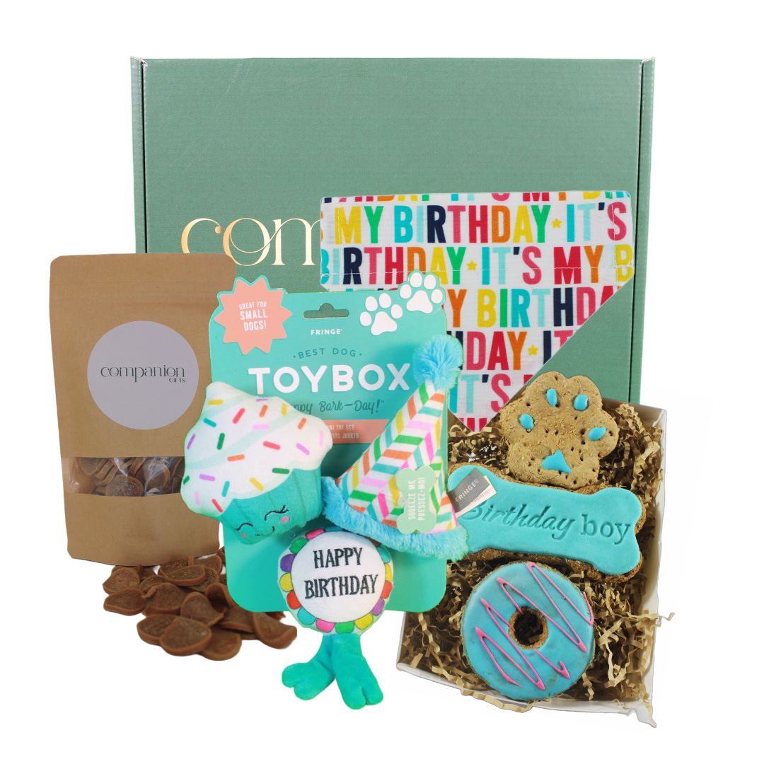 Birthday Boy Box (S/M dogs) – Companion Gifts